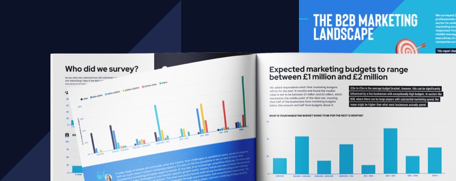 The UK B2B Landscape | White Paper | Impression