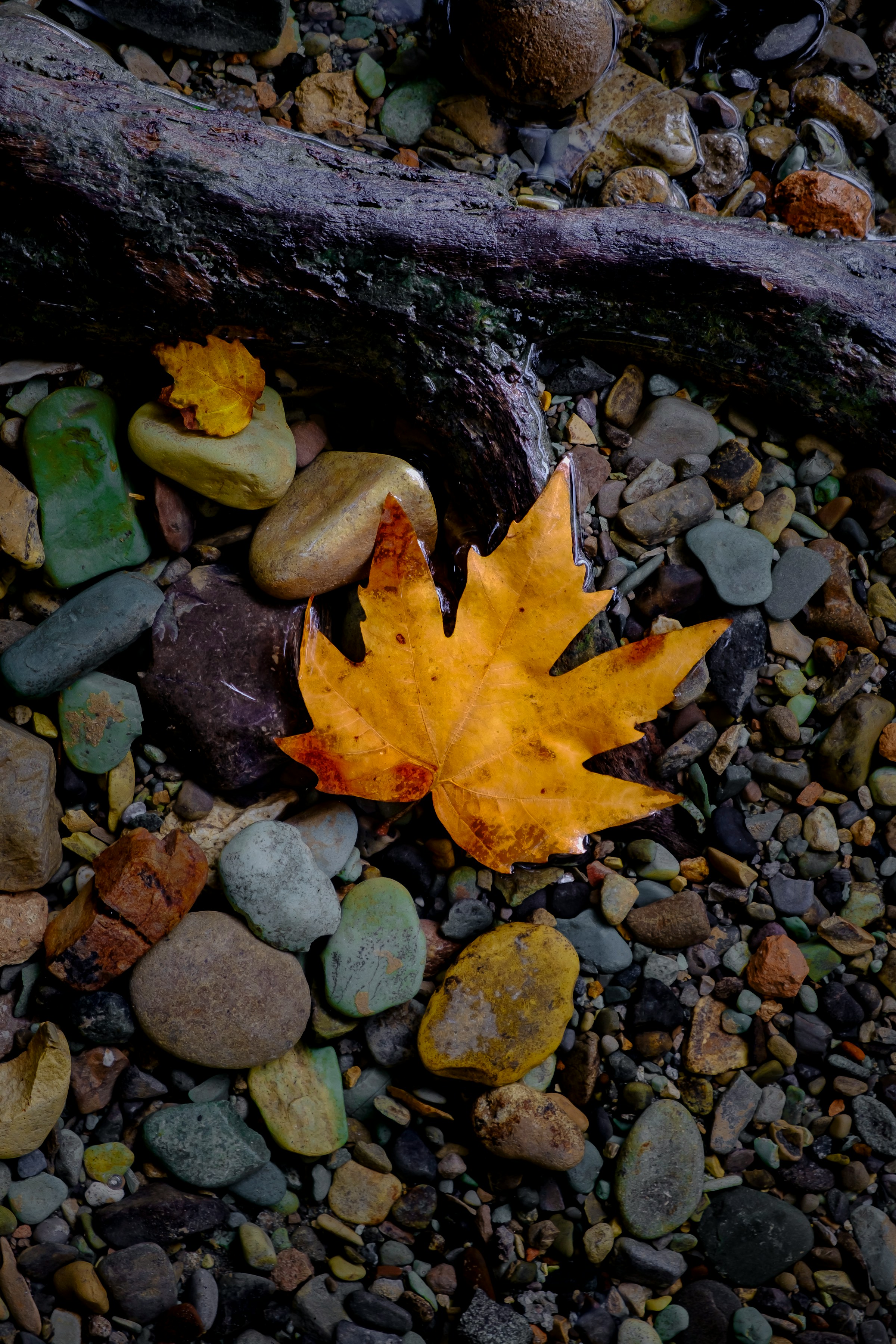 November 2025 Google Algorithm and Search Industry Updates - Impression